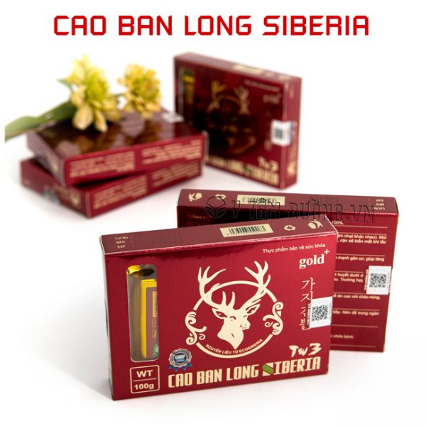 Cao ban long Siberia – hộp 100g