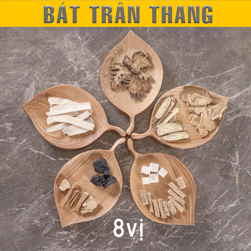Bát trân thang - Ích khí bổ huyết