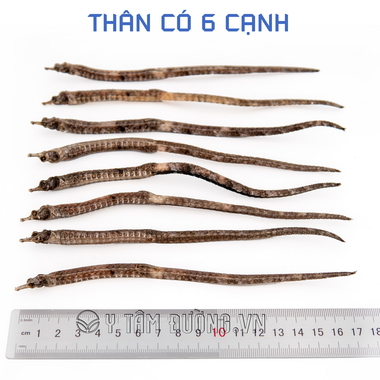 Hải long khô