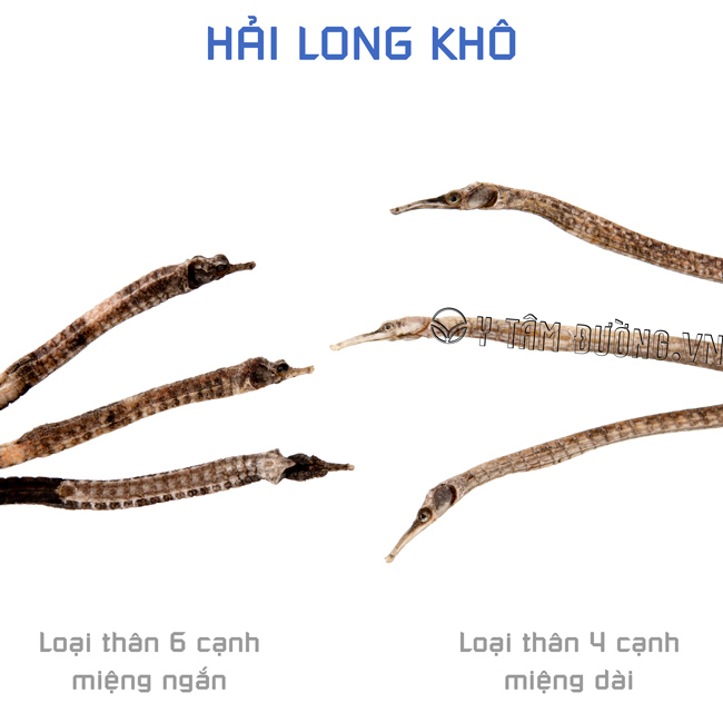 Hải long khô